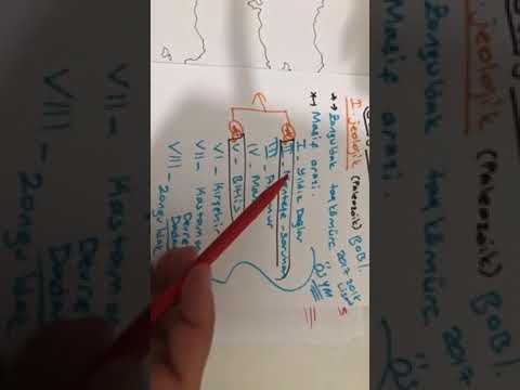 KPSS Coğrafya Yer şekilleri Tekrar BOB