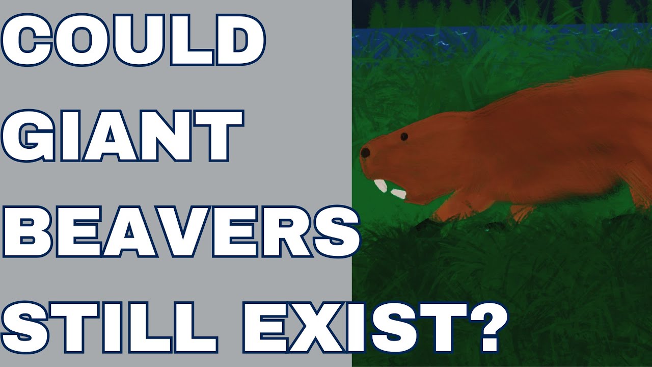 Could Giant Beavers Still Exist? Some say yes... - YouTube