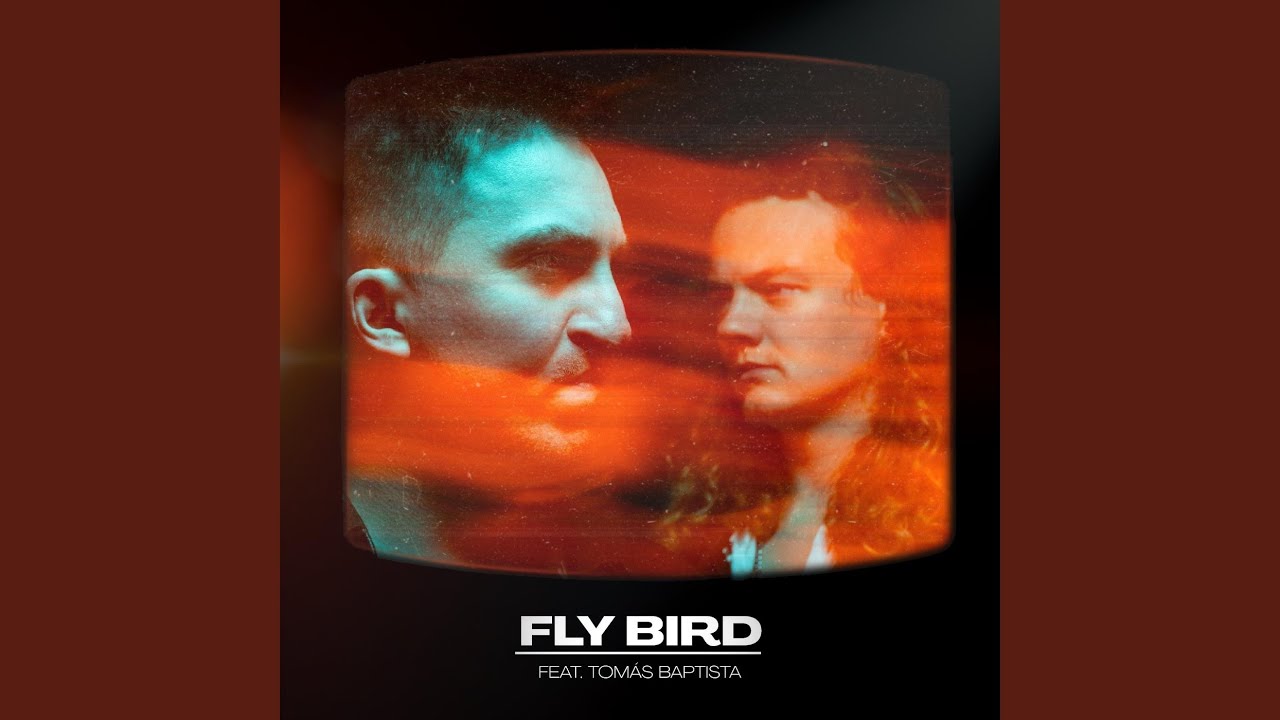 FLY BIRD (feat. Tomás Baptista) - YouTube