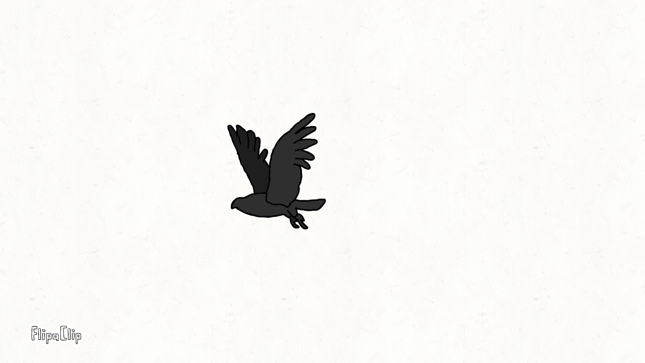 Flying Bird animation(FlipaClip) - YouTube