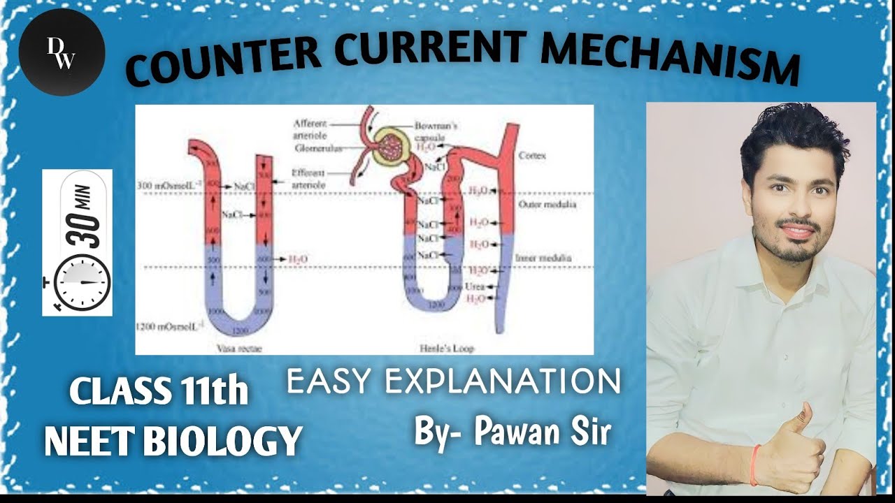 Counter Current Mechanism | #excretoryproductsandtheirelimination # ...