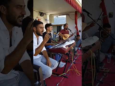 ferhat tutkun evindar Bedo kısa halay Lele goze