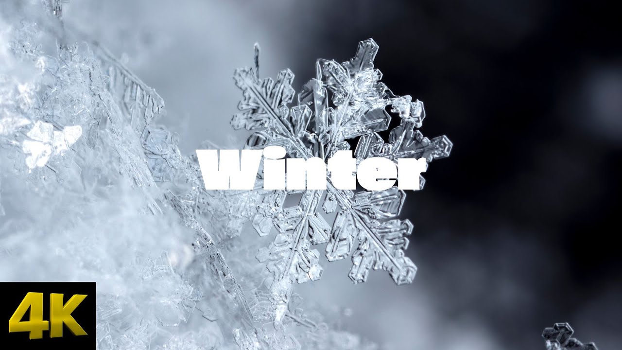 Winter 4K Nature Relaxation Cold weather and Peaceful-Vide 4K - YouTube