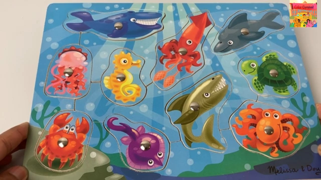 Learn names ,colors of sea creatures, marine animals. Best educational ...