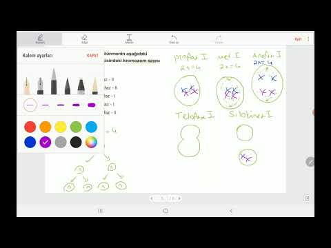 BİYOLOJİ – 14 ARALIK TYT (LİMİT - 3)