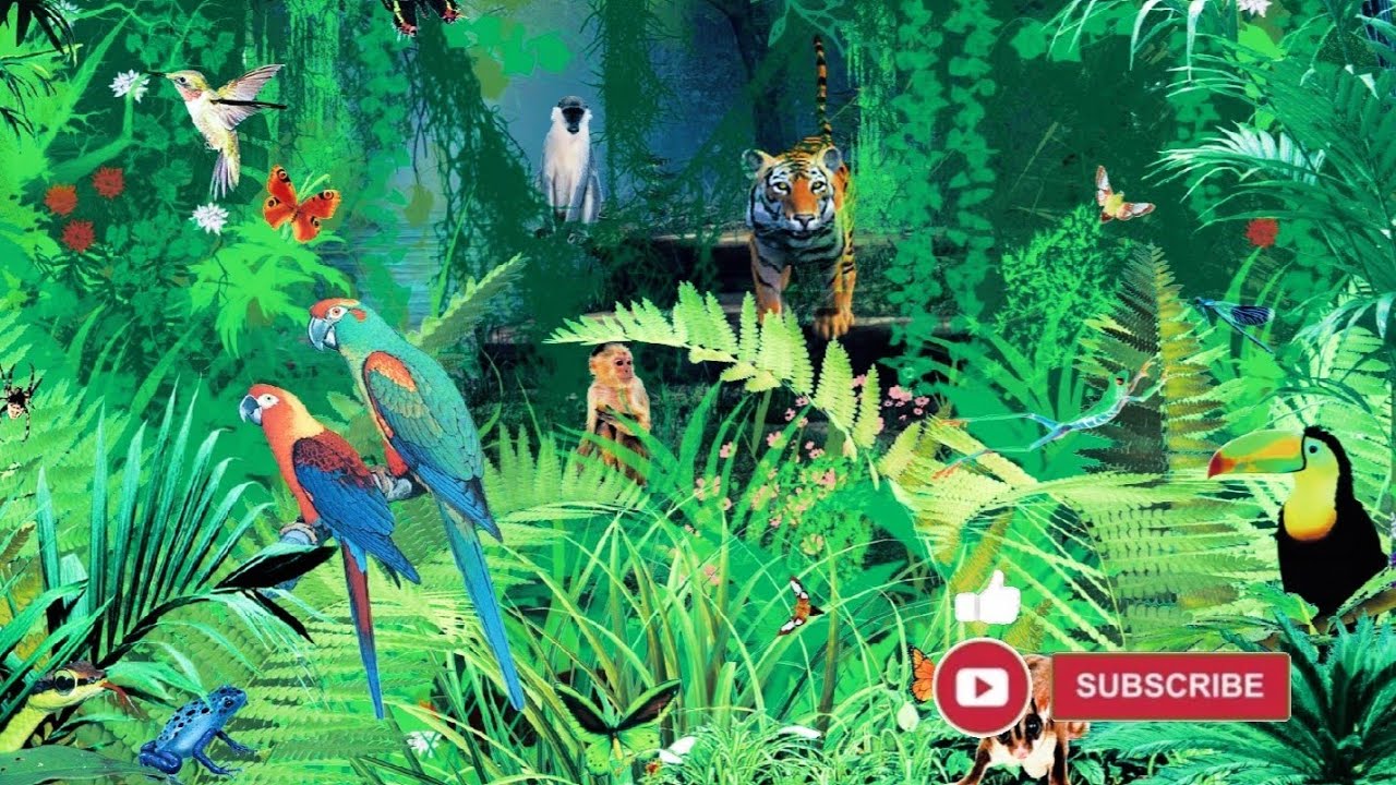 Story for jungle Animal for kids cute animal video - YouTube