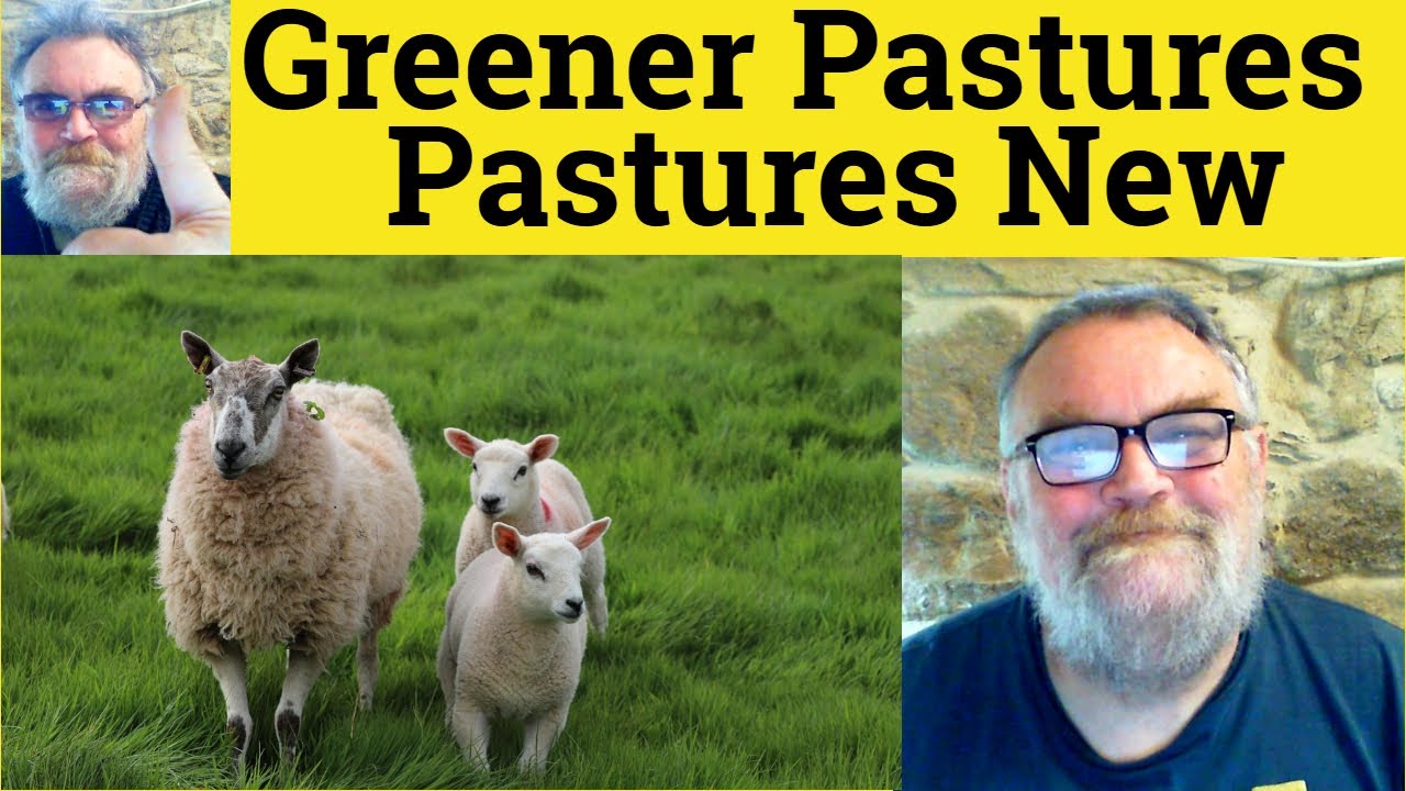 😎 Greener Pastures Meaning - New Pastures Definition - Pastures New ...