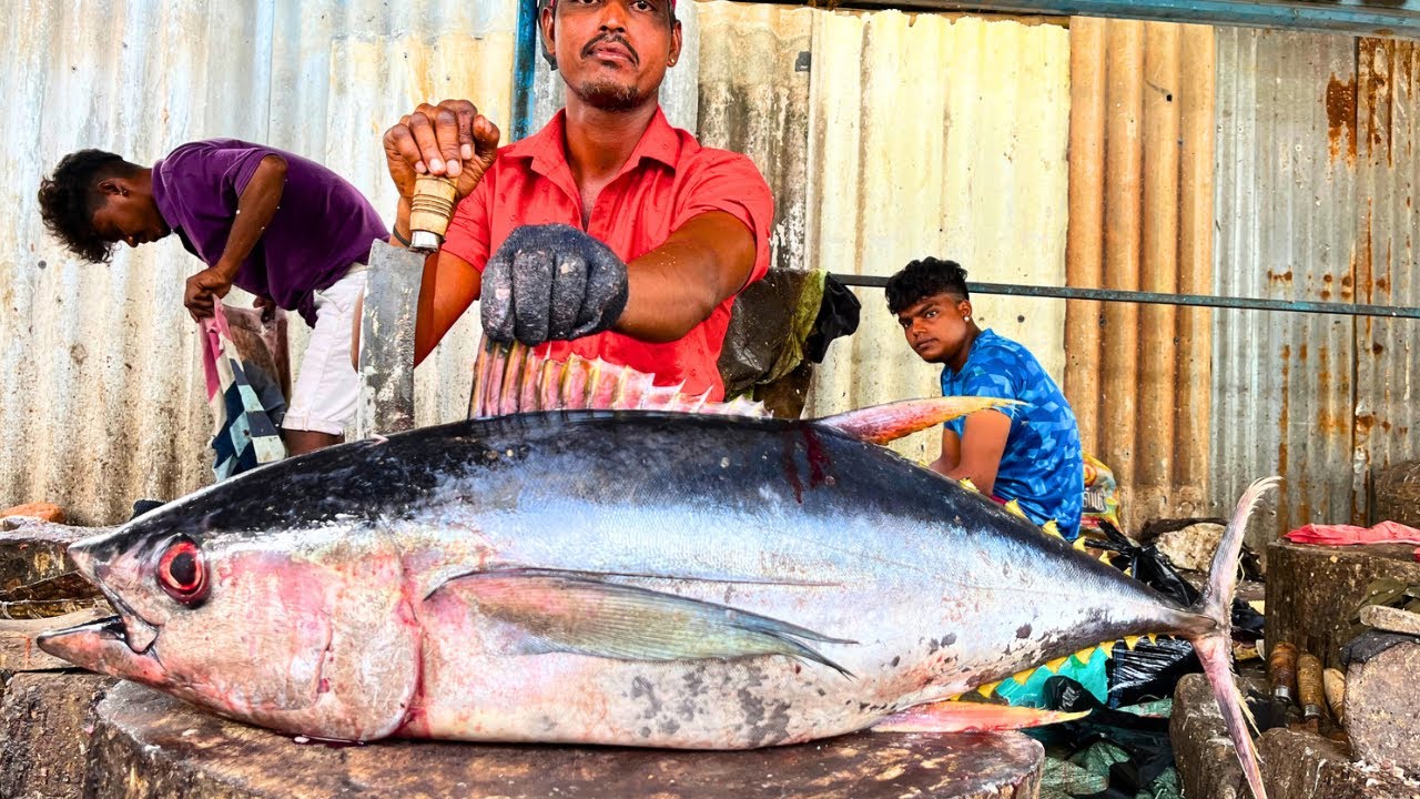 KASIMEDU 30KG BIG YELLOW PIN TUNA FISH CUTTING VIDEO / CUTTING SPOT ...