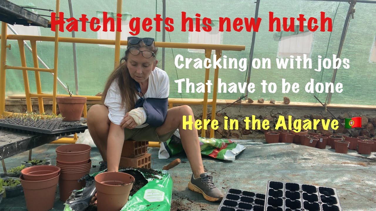 Hatchi gets his new hutch, farm life here in the Algarve Portugal 🇵🇹 ...