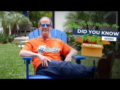 Where Are Palms Trees Native