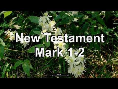 New Testament Mark 1- 2 - YouTube