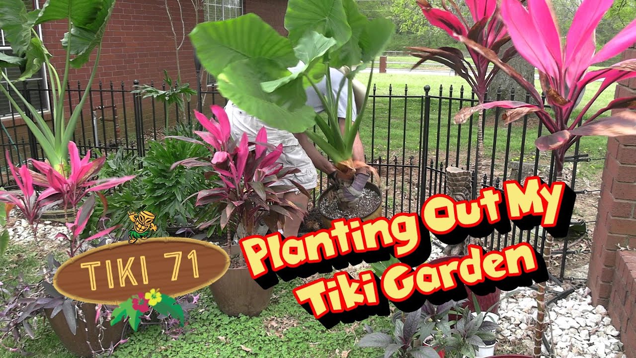 Planting Out My Tropical Tiki Garden 🌴🌺 #spring #gardening - YouTube