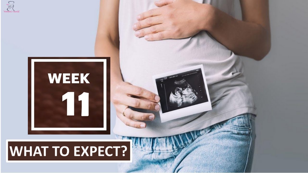 11 Weeks Pregnant What to Expect? - YouTube