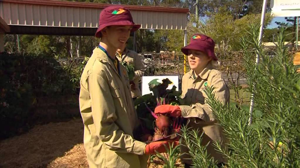 Pine Rivers Special School - YouTube