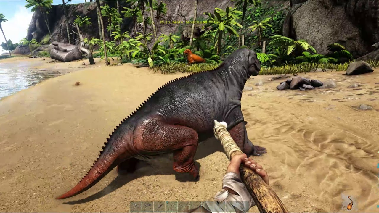 ARK: Survival Evolved Gameplay / No Commentary - YouTube