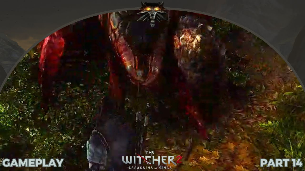 THE ENDREGA CONTRACT | The Witcher 2: Assassins of Kings | Gameplay ...