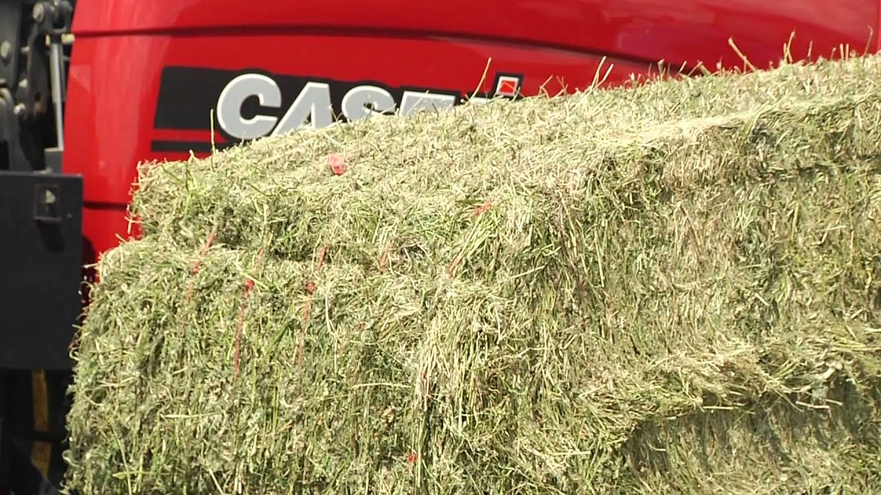 2014 Iowa Hay and Forage Expo - YouTube