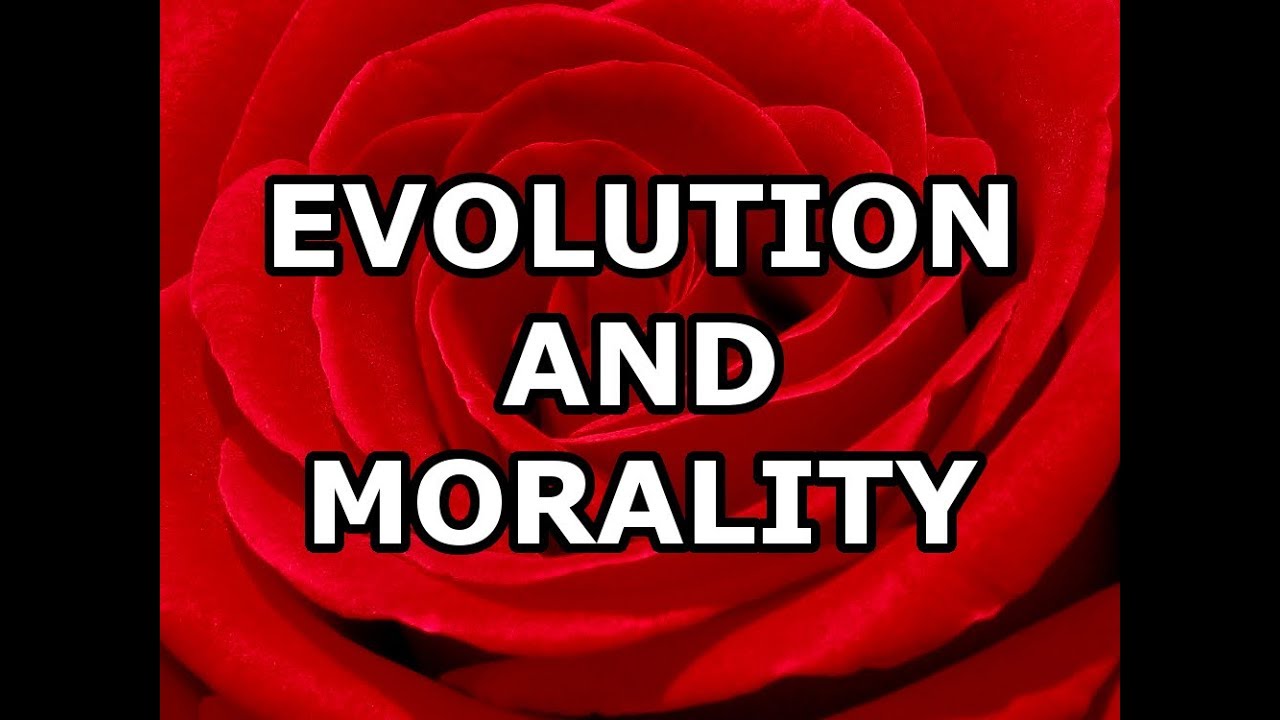 Evolution and Morality ["Meaning" part 2] - YouTube