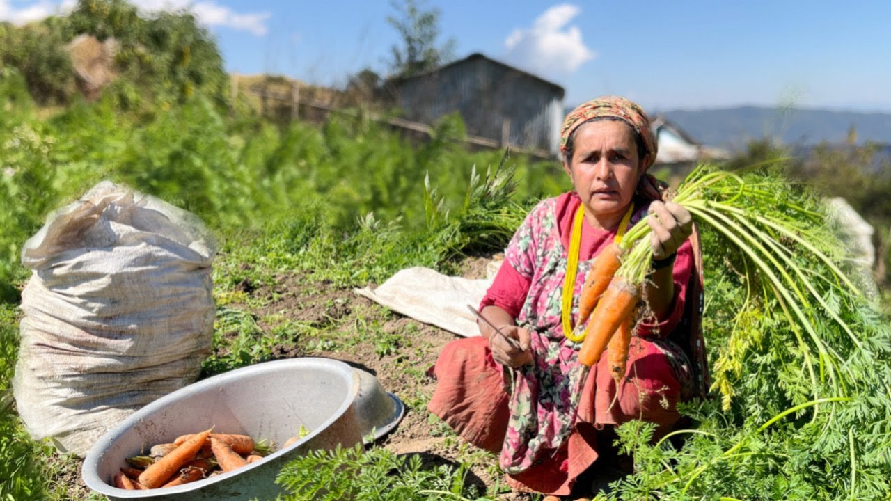 Village Woman Life in Rural Nepal | A Traditional Farming Lifestyle ...