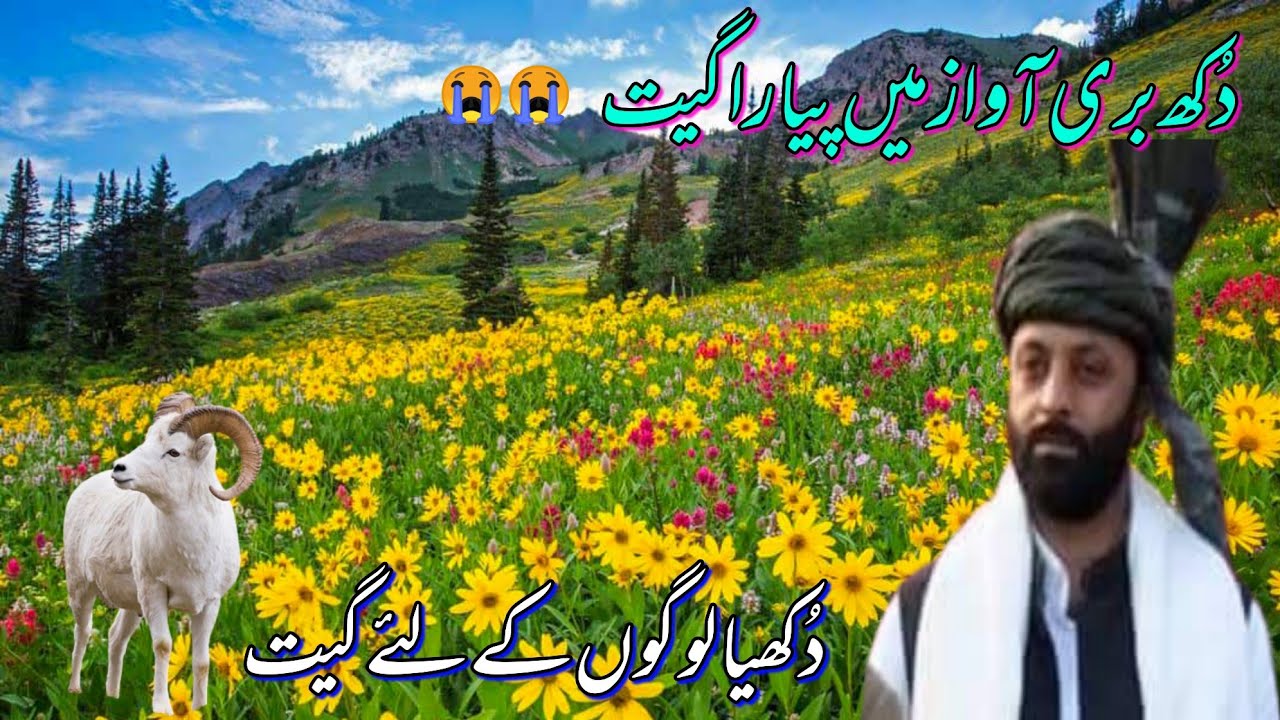 New gojri song by Ayaz Ahmad saif|dukhi gojri song gojri geet 2023 ...