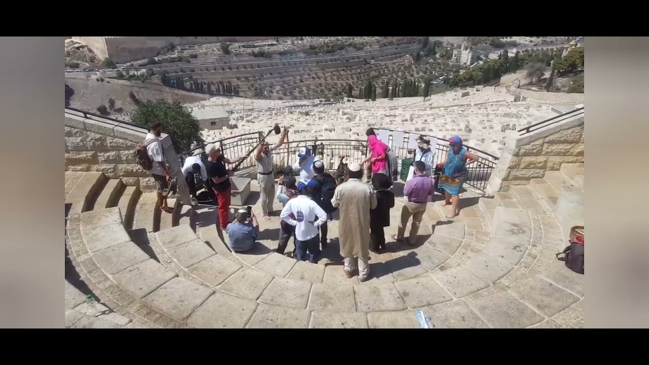 The True Significance of the 10th Red Heifer Being Burnt (for ...