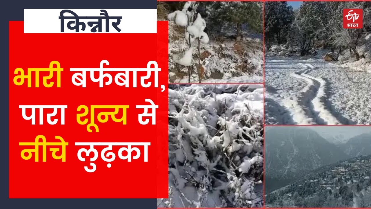 Snowfall Kinnaur: किन्नौर में भारी बर्फबारी | Cold wave in Himachal ...