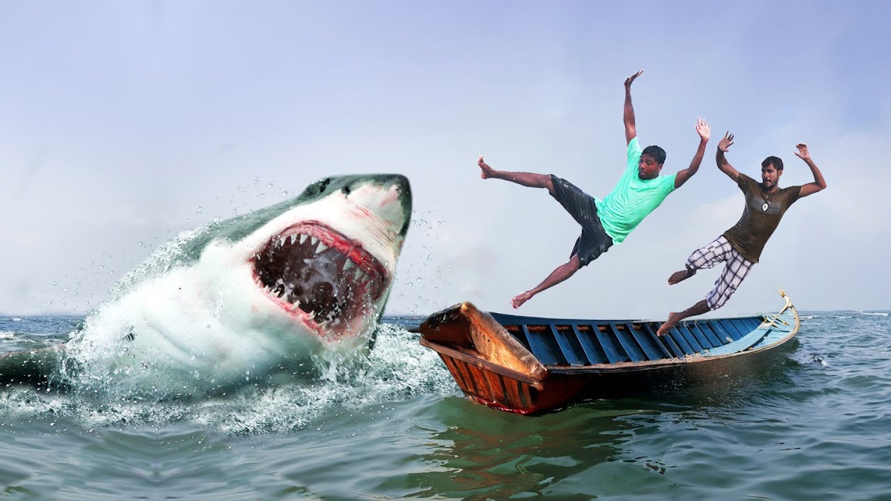 Shark Attack Man In Sea Fishing Boat | Fun Made Shark attack Egypt ...