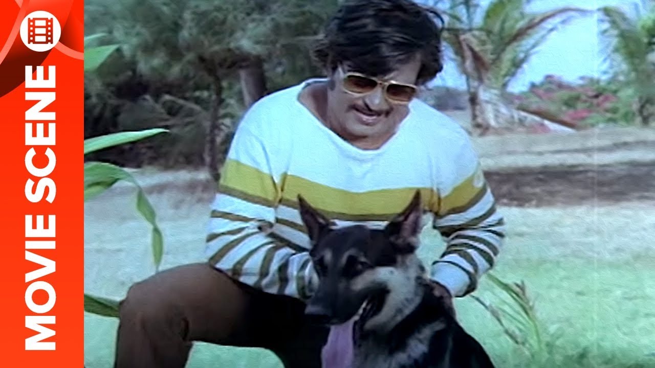 Rajinikanth Gives Training To His Dog - Jeet Hamaari - YouTube