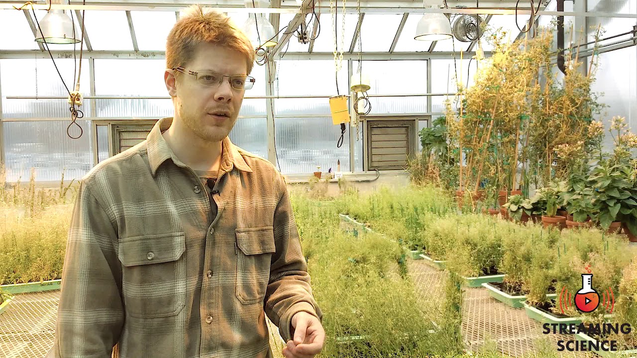 The Carrot Project: Polyacetylene – Post-Graduate Profile - YouTube