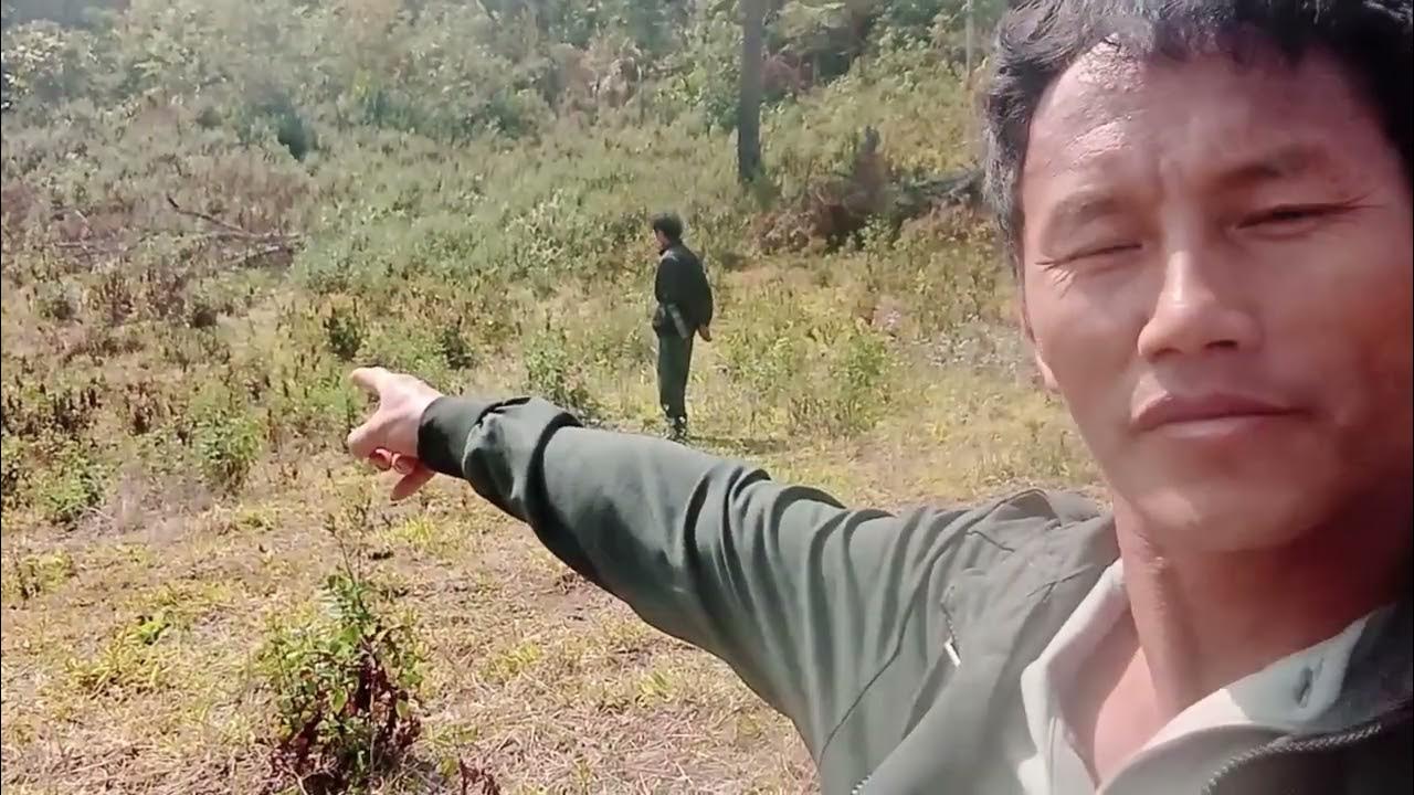 rog kuv mu cig peb tej quas tsev thiab taug kev ua si os lawv - YouTube