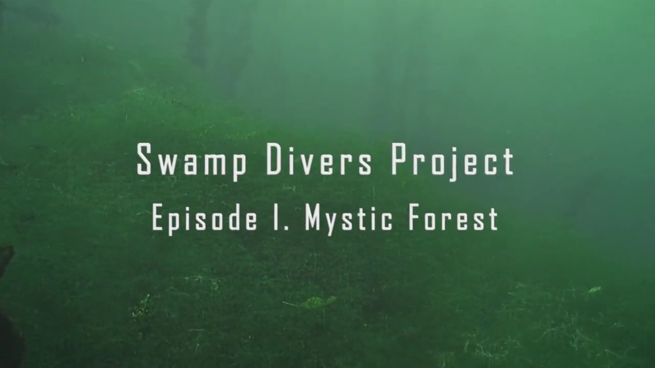 Swamp divers. Episode I. Mystic Forest - YouTube