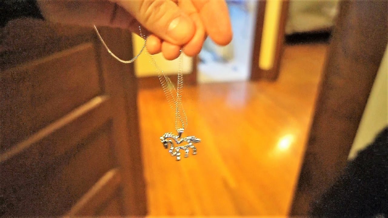 HORSE BLING!! Day 725 (12/06/16) - YouTube