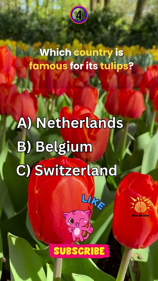 Discover the Tulip Wonderland: Trivia Quiz 🌷 | Country Famous for ...