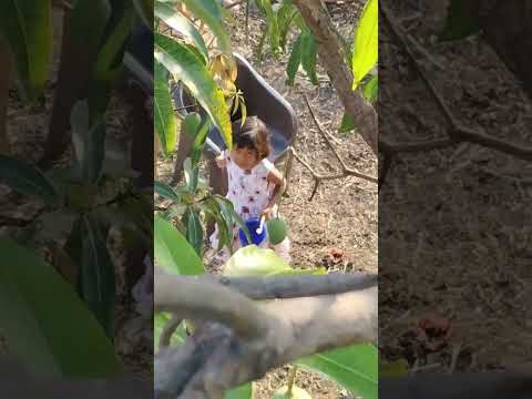 aaj Subah Jab Mai Jaga #Shorts #Status #Video Song #Music
