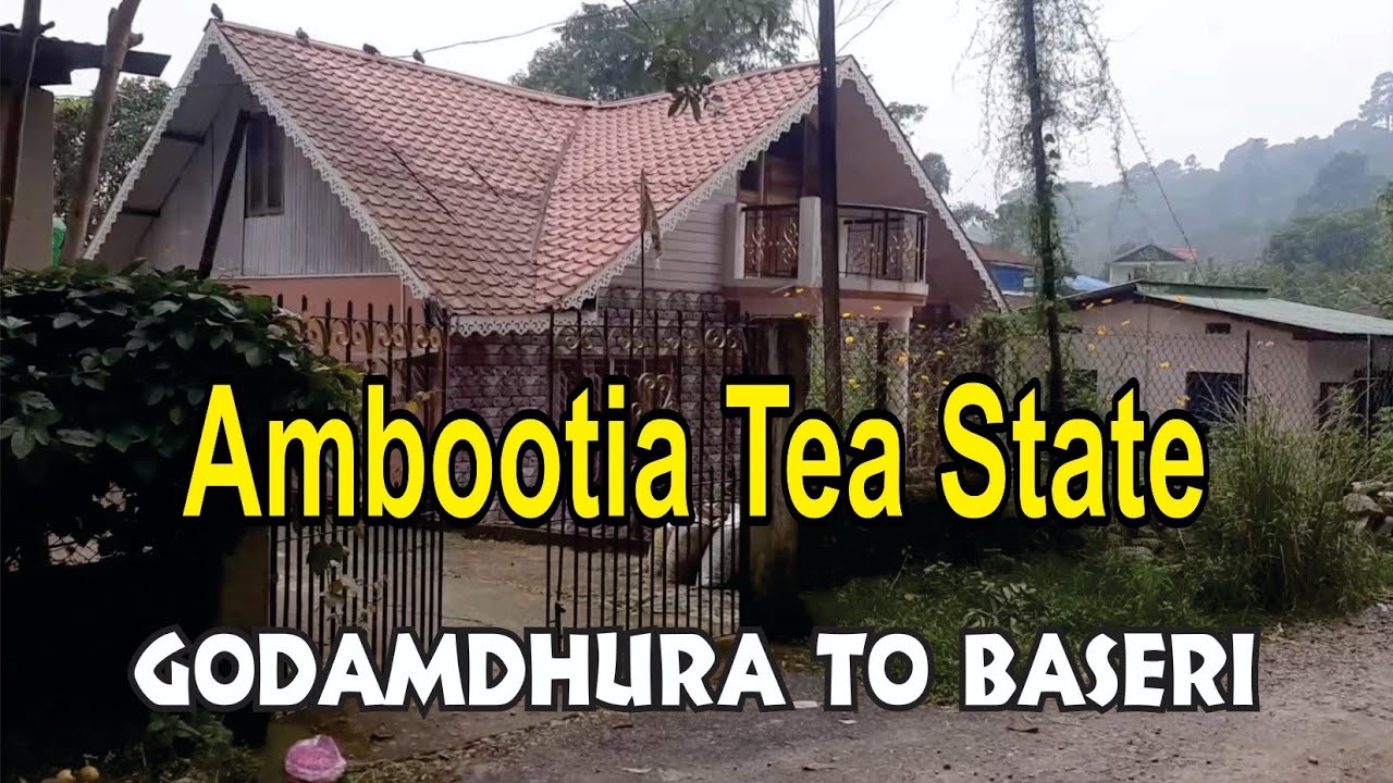 Godamdhura to Baseri / Ambootia Tea State / Darjeeling Vlogs - YouTube