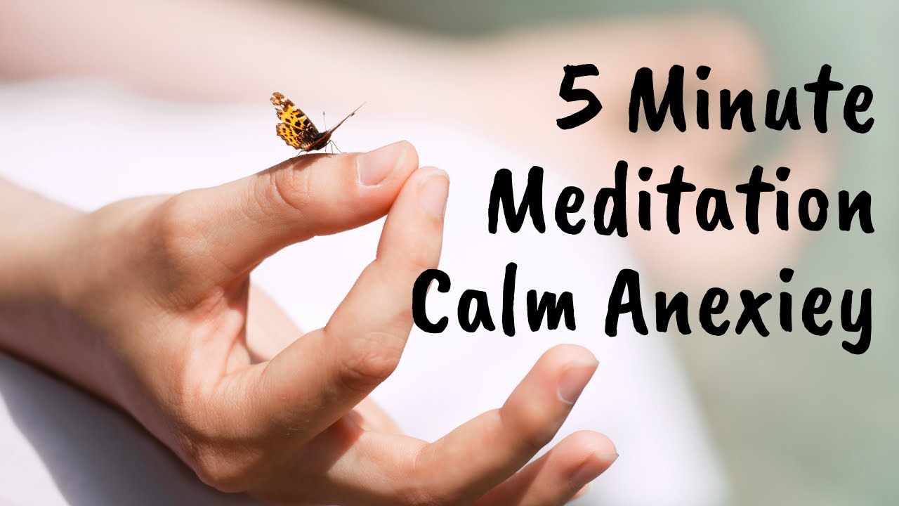 The MOST Calming 5 Minutes | Guided Meditation - YouTube