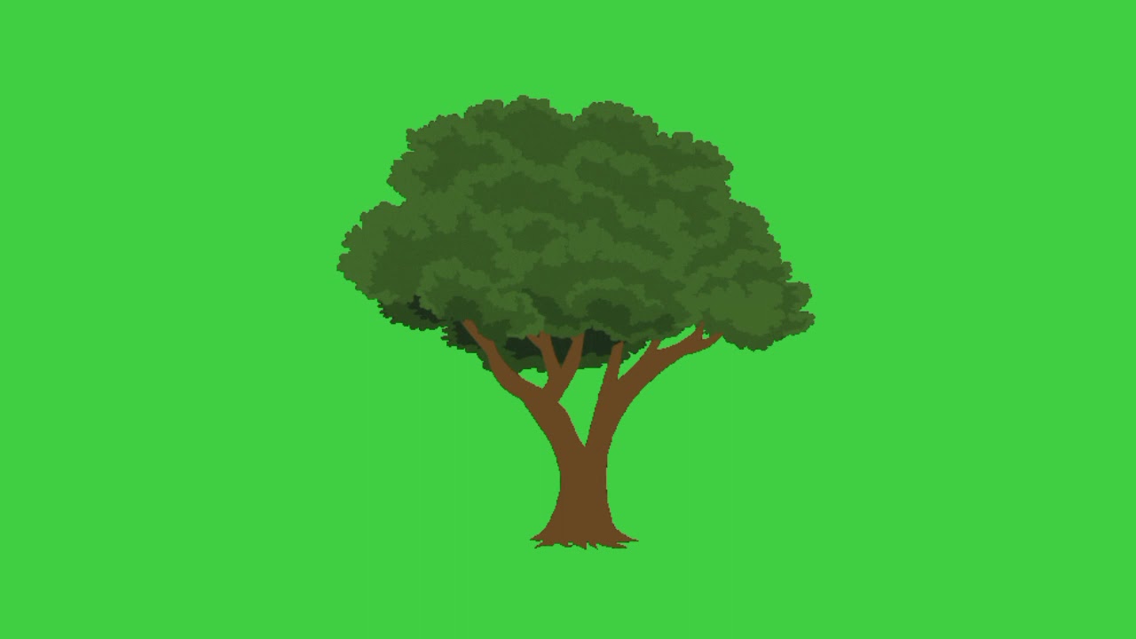 chroma tree | Green Screen tree |tree animated - YouTube