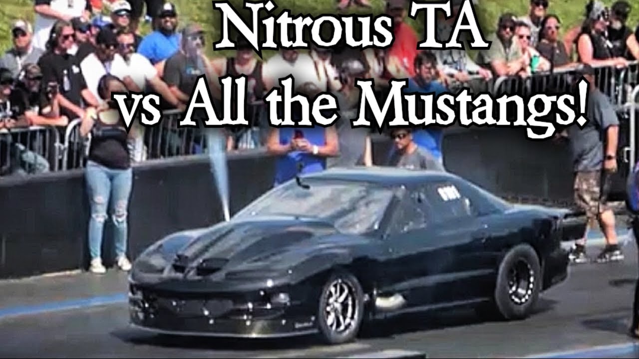 Nitrous Trans Am vs All the Mustangs!! - YouTube