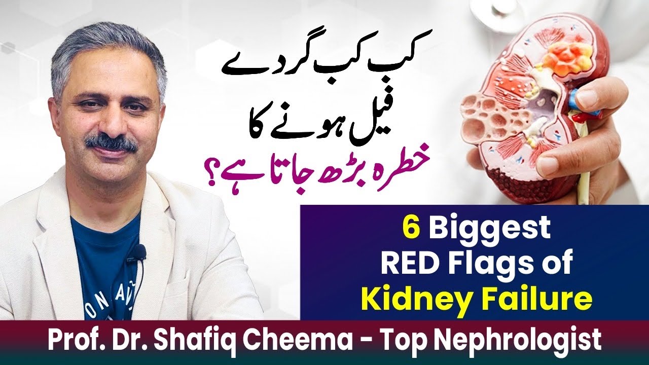 6 Biggest RED Flags of Kidney Failure #proteinuria #creatinine #ckd # ...