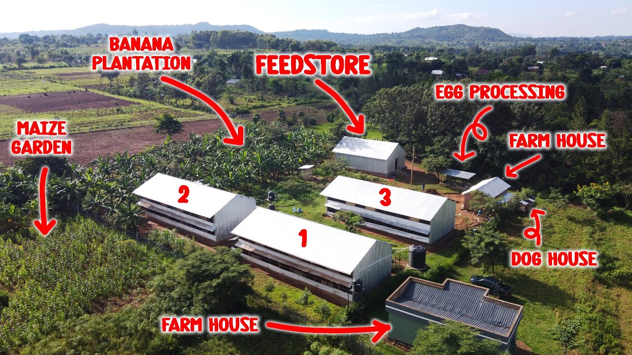 Around My Great 3-ACRE Farm - Come Take A Tour! - YouTube