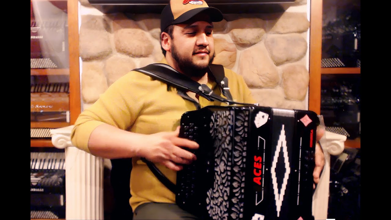 HOHNACESIIFBK - Black Decorated Hohner Aces II Diatonic Button ...