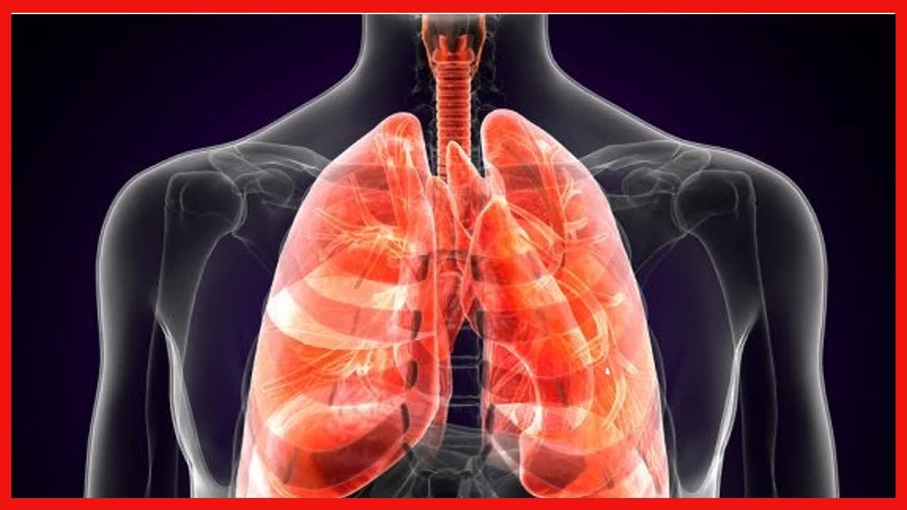 Qu'est-ce que la peste pulmonaire et quels sont ses symptômes ? - YouTube