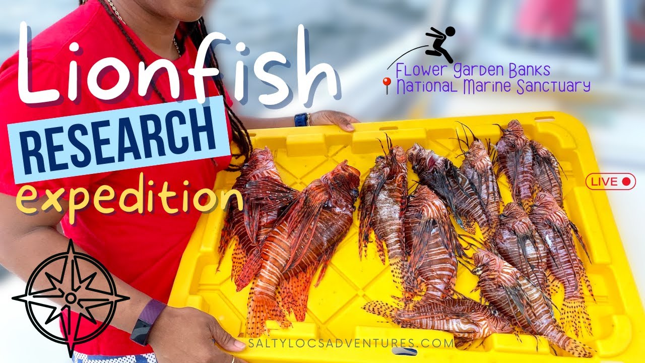 Up Next: Lionfish Research Expedition - YouTube