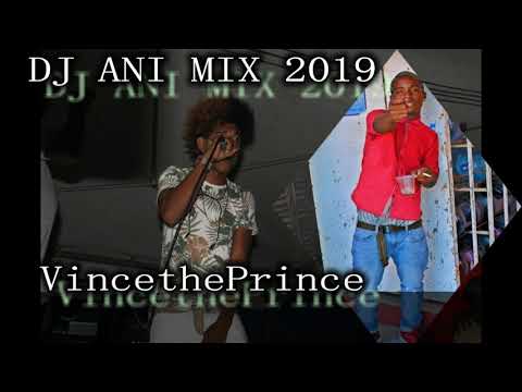 DJ ANI MIX 2019 (VincethePrince)(N.L.K)