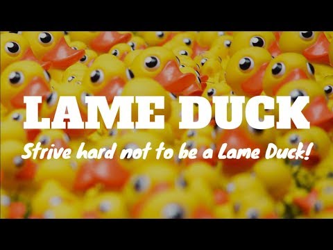 National Lame Duck Day - YouTube