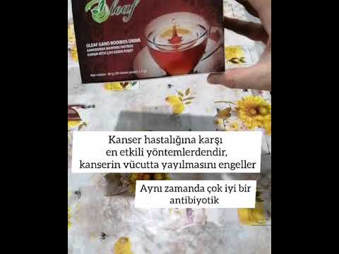 GANO EXCEL FAYDALARI ANLATMAKLA OLMAZ TATMAK LAZIM