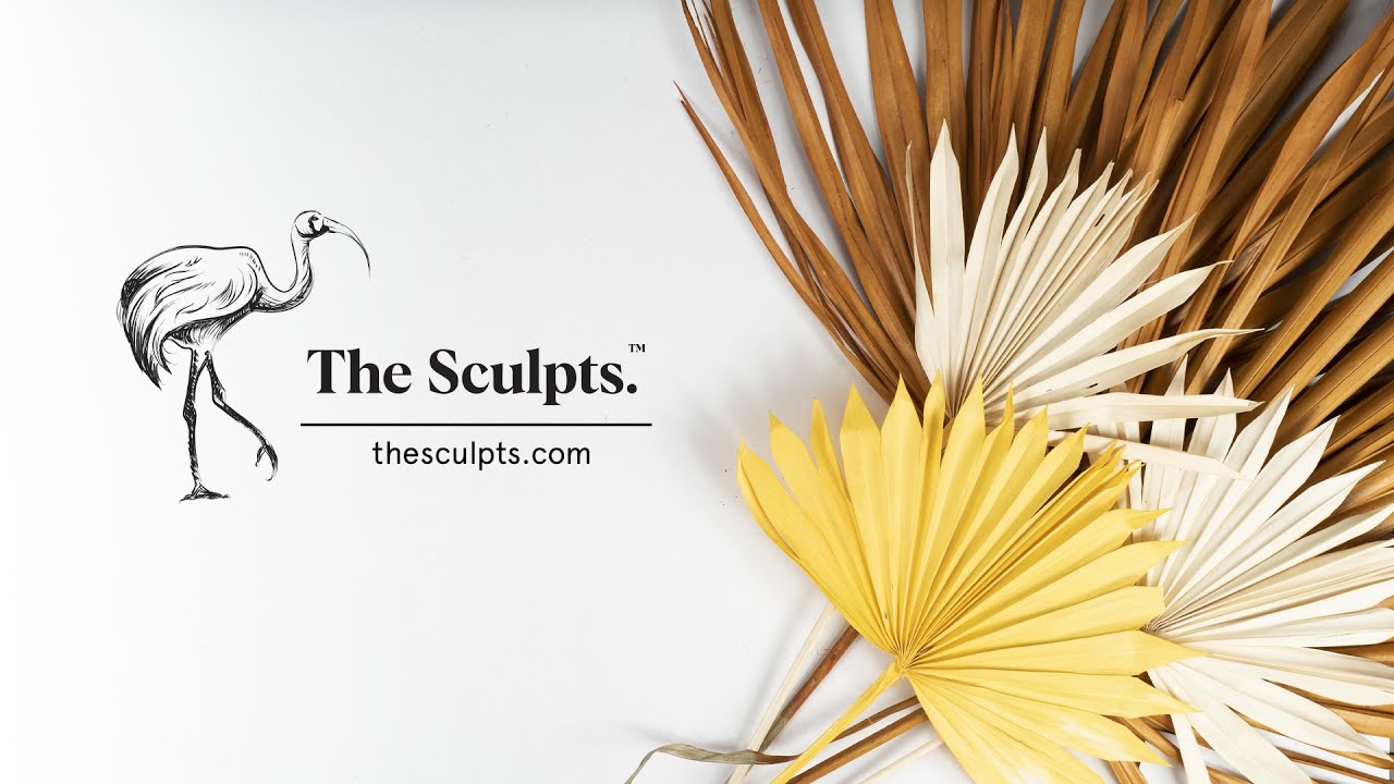 Flamingos in the Reeds - The Sculpts - YouTube