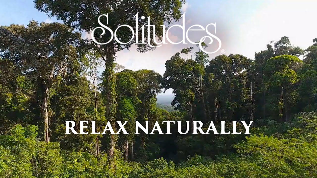 Dan Gibson’s Solitudes - Enchanted Woods | Relax Naturally - YouTube