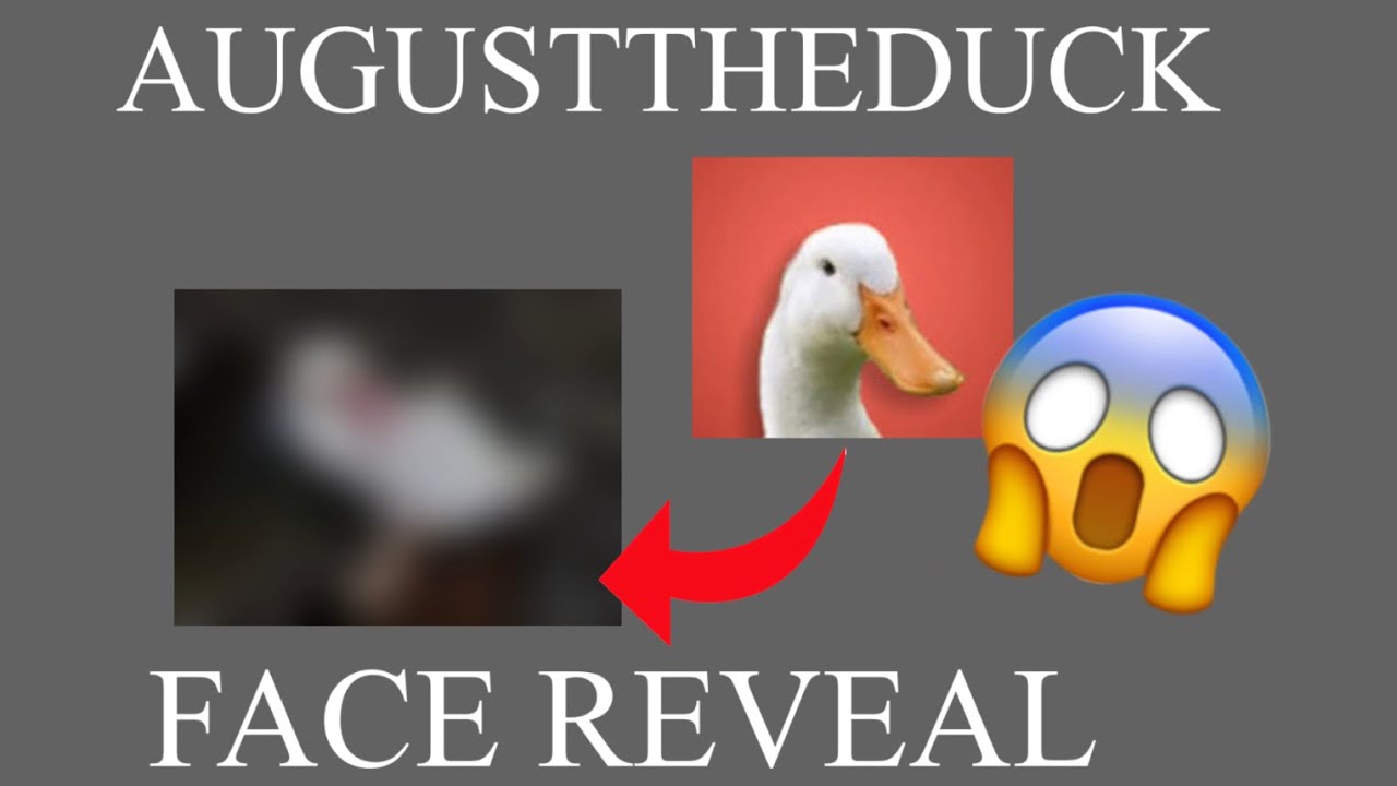 AugustTheDuck face REVEAL (HE’S SO UGLY 😱) - YouTube