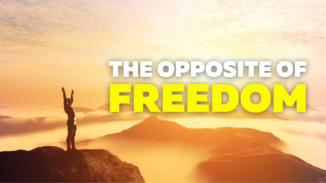 The Opposite Of Freedom#motivation #inspiration#positiveenergy# ...